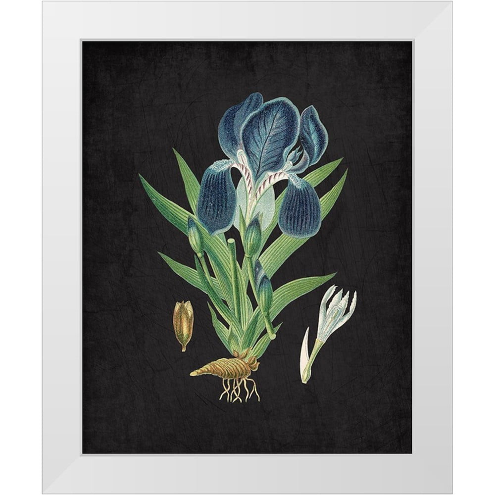 Kimberly, Allen 12x14 White Modern Wood Framed Museum Art Print Titled ...