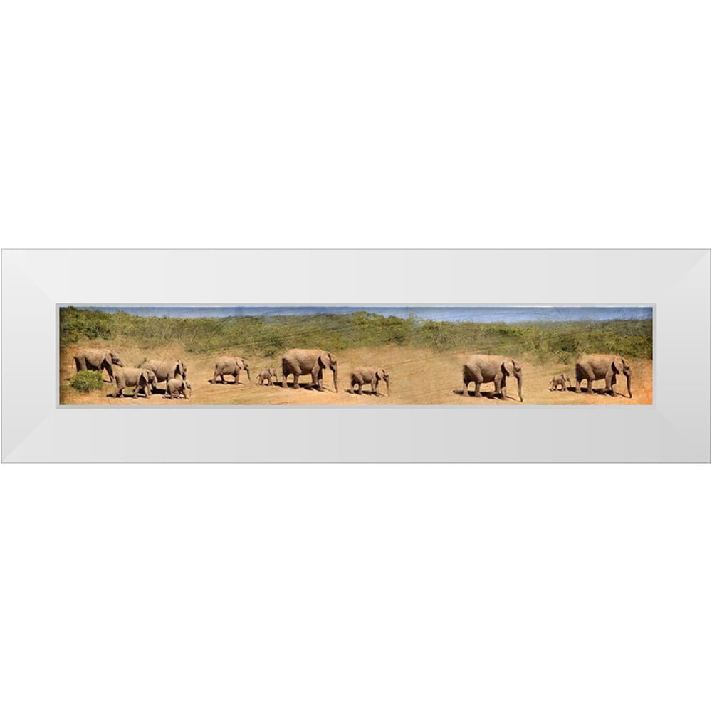 Kimberly, Allen 14x6 White Modern Wood Framed Museum Art Print Titled ...