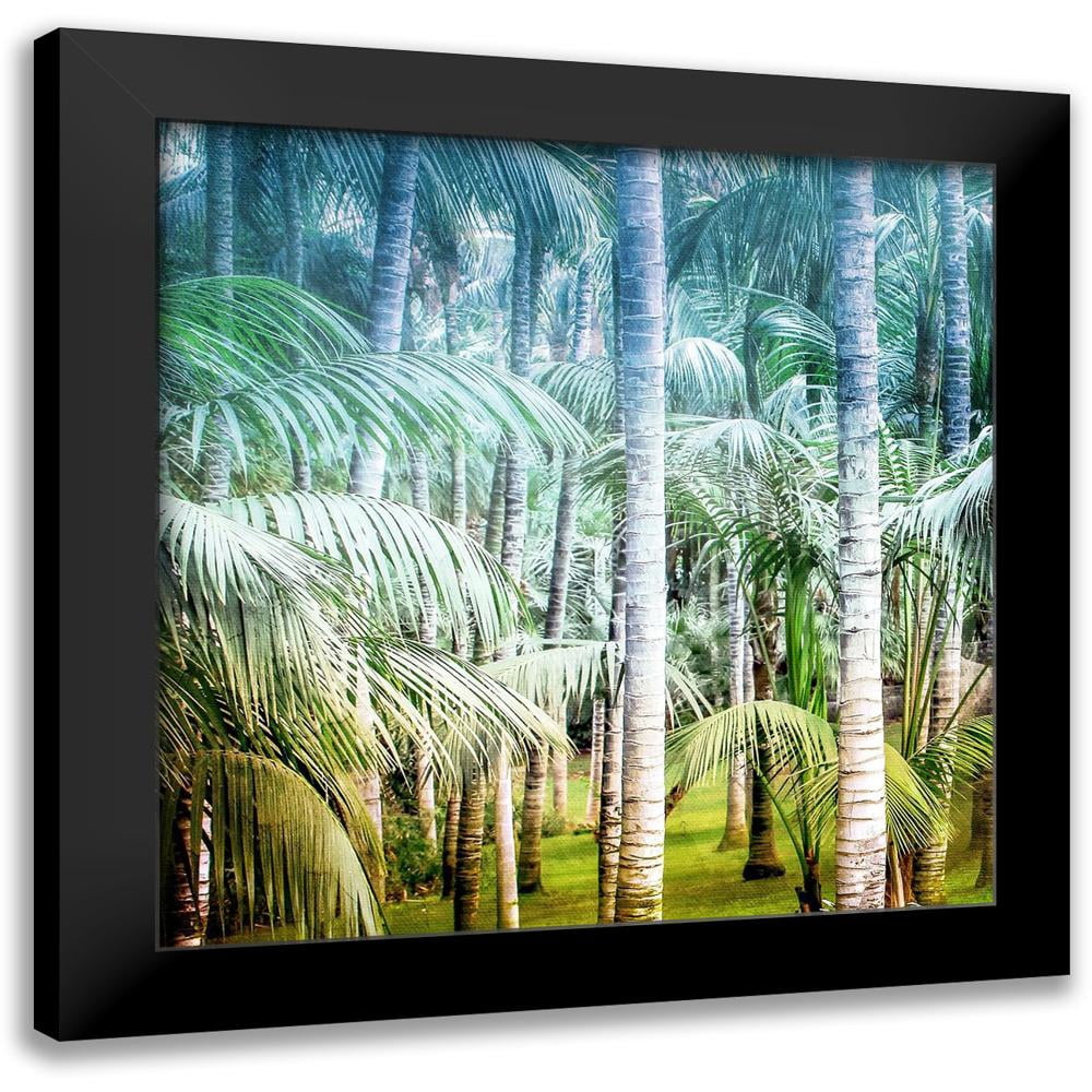 Kimberly, Allen 15x15 Black Modern Framed Museum Art Print Titled ...