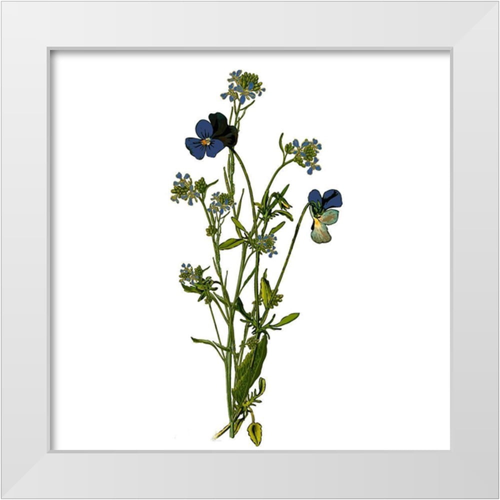 Kimberly, Allen 15x15 White Modern Wood Framed Museum Art Print Titled ...