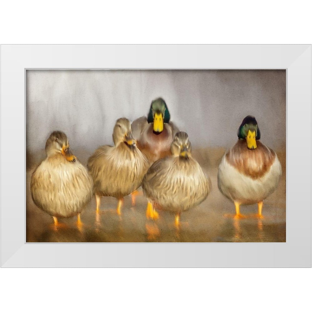 Kimberly, Allen 18x13 White Modern Wood Framed Museum Art Print Titled ...
