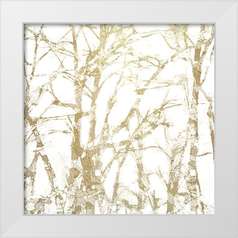 Kimberly, Allen 20x20 White Modern Wood Framed Museum Art Print Titled ...