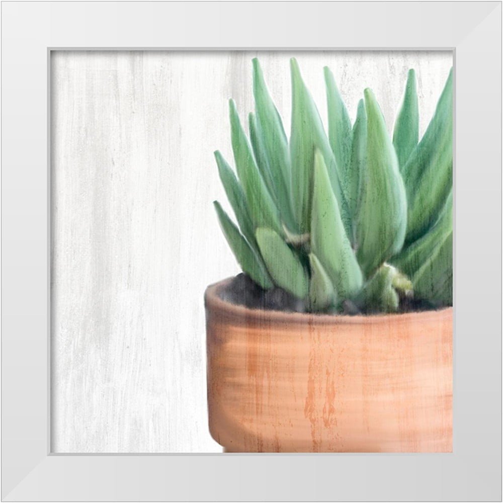 Kimberly, Allen 26x26 White Modern Wood Framed Museum Art Print Titled ...