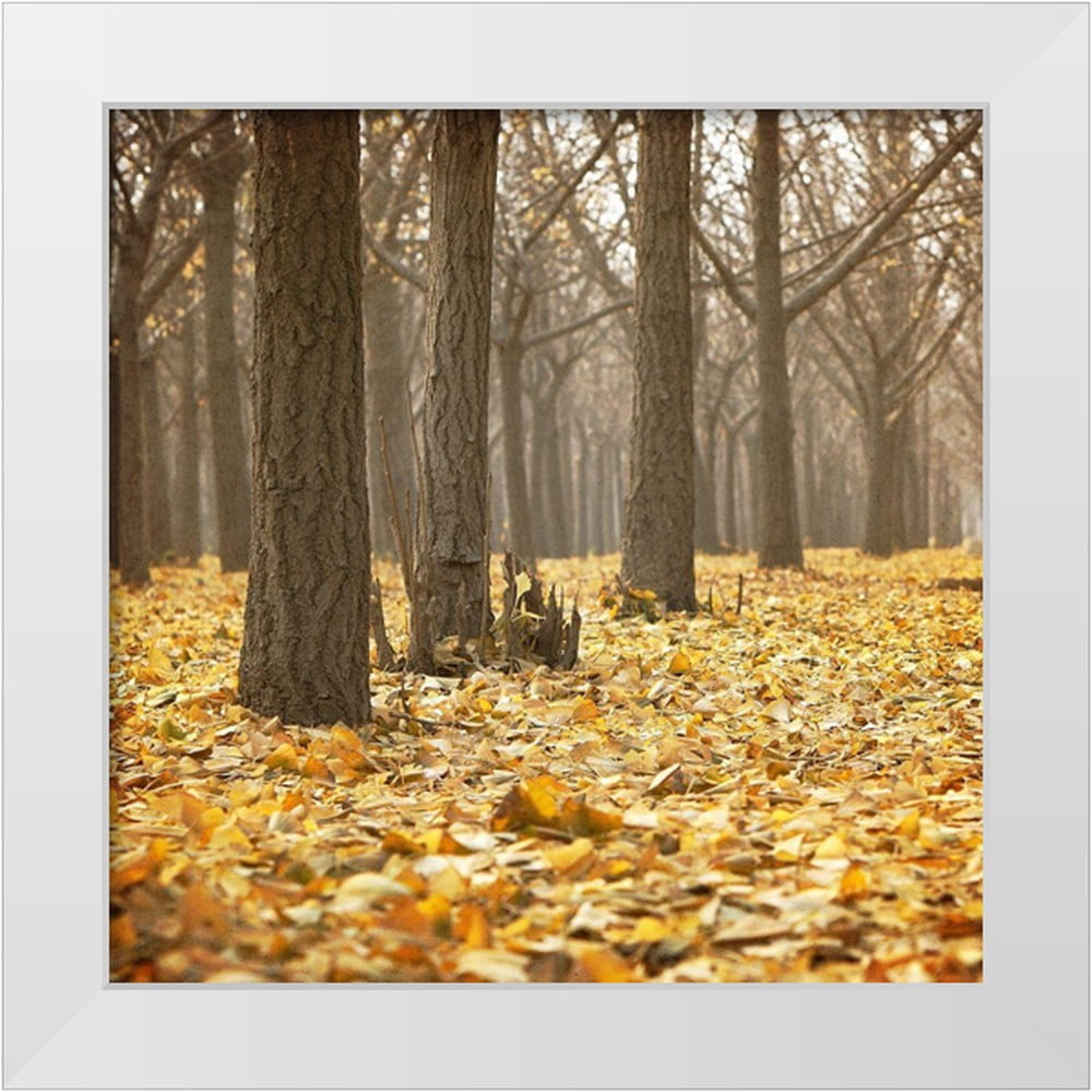 Kimberly, Allen 26x26 White Modern Wood Framed Museum Art Print Titled ...