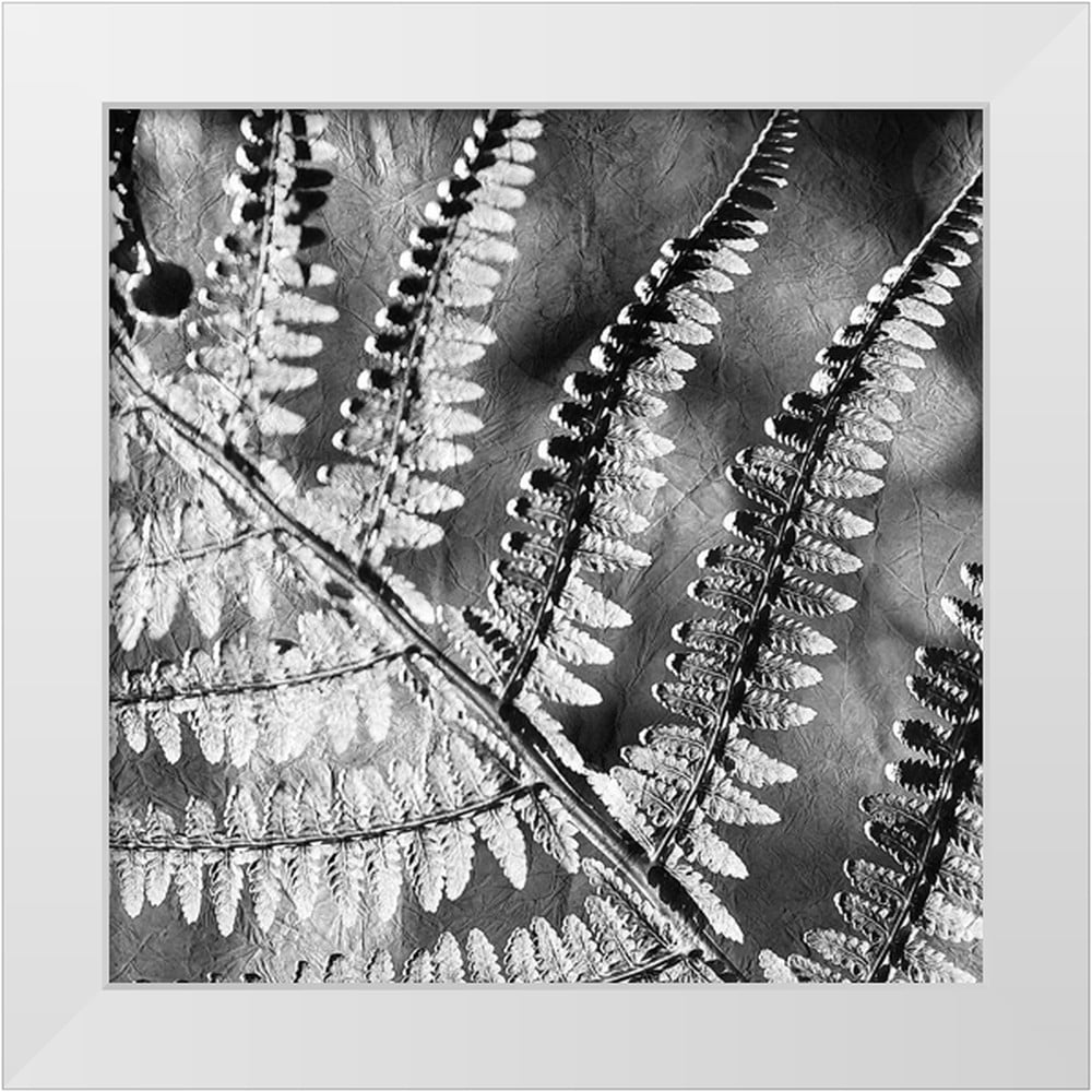 Kimberly, Allen 26x26 White Modern Wood Framed Museum Art Print Titled ...