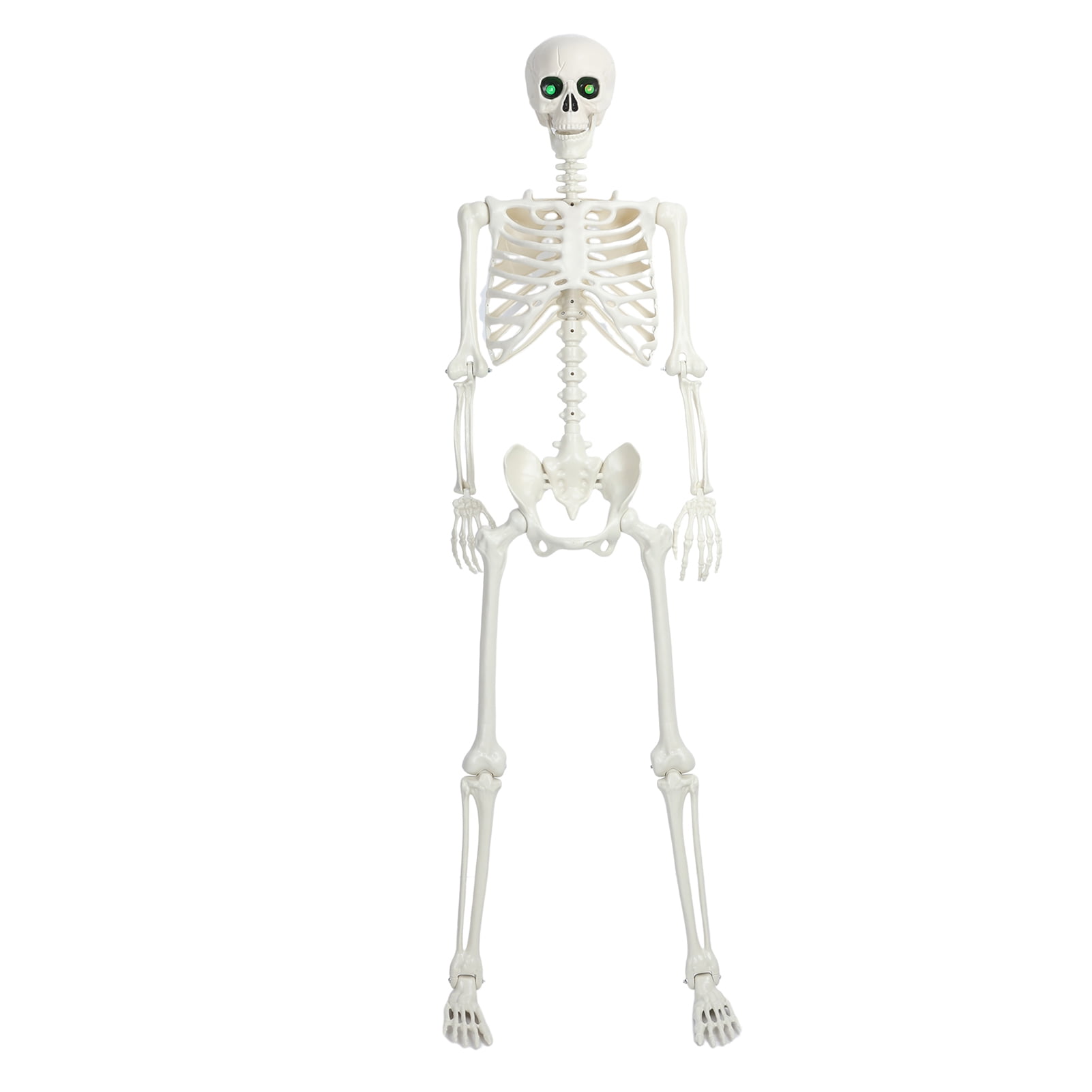Kinaerty 5.4FT Halloween Life Size Light-up Skeleton Decor Movable ...