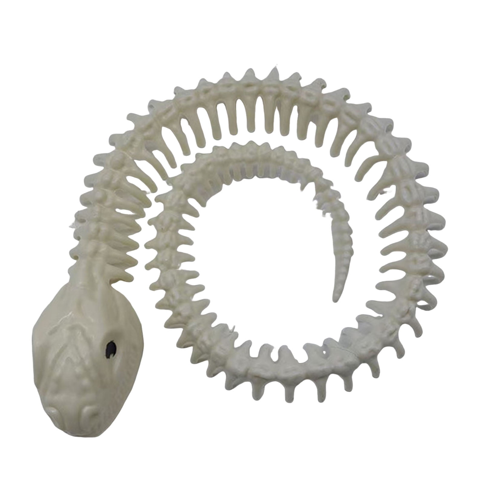 Kinaerty Halloween Animal Skeletons Dog Bat Frog Scorpion Spider Snake ...