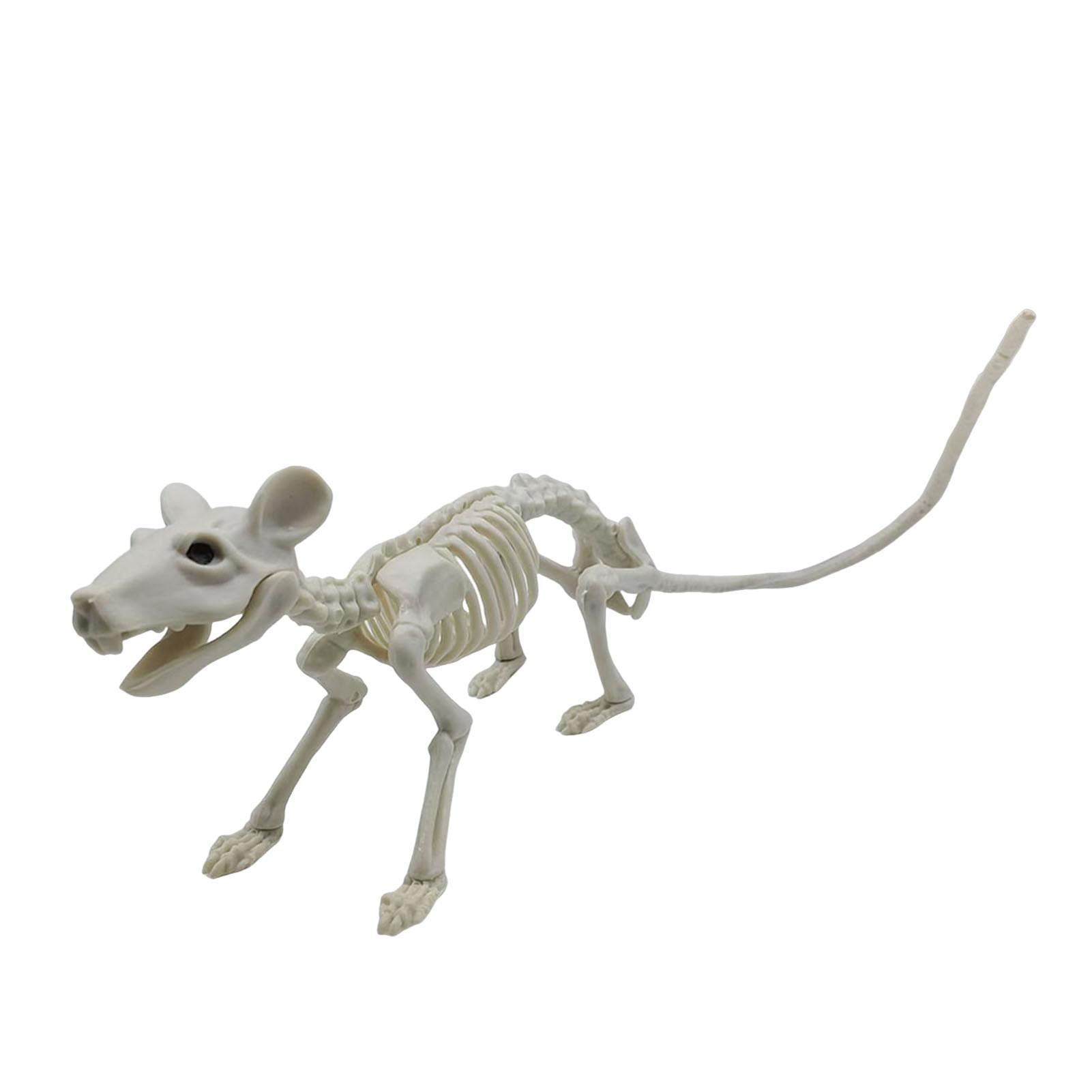 Kinaerty Halloween Animal Skeletons Dog Bat Frog Scorpion Spider Snake ...