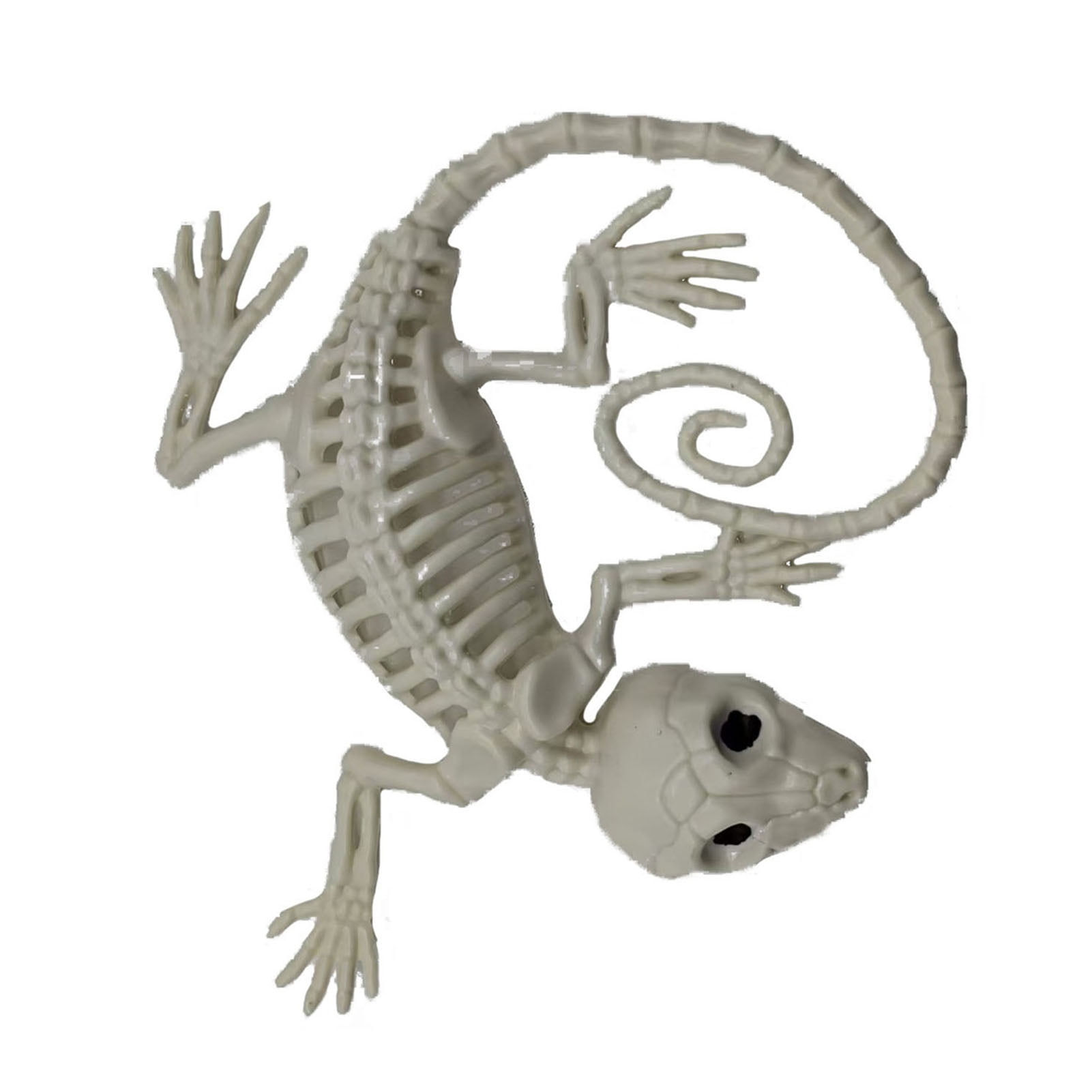 Kinaerty Halloween Animal Skeletons Dog Bat Frog Scorpion Spider Snake ...