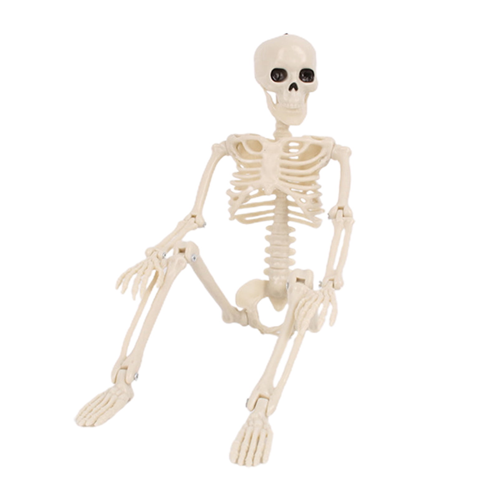 Kinaerty Halloween Skeleton Full Body Posable Joints Ornament Realistic ...