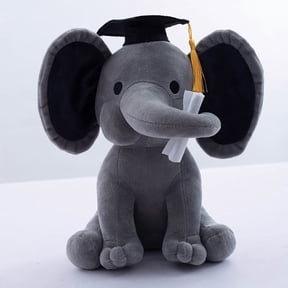 Kindergarten Graduation Gift