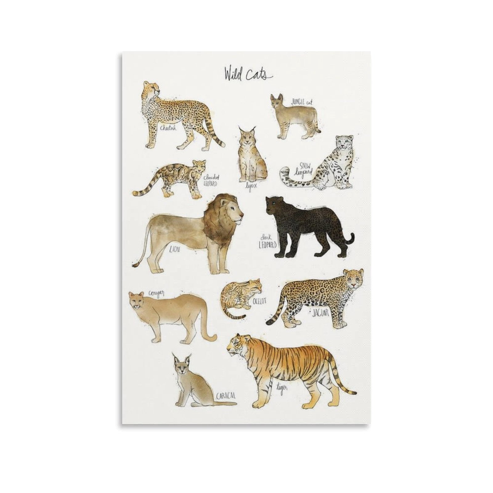 Kindergarten Wild Cats Education Poster Posters Wall Art Painting ...