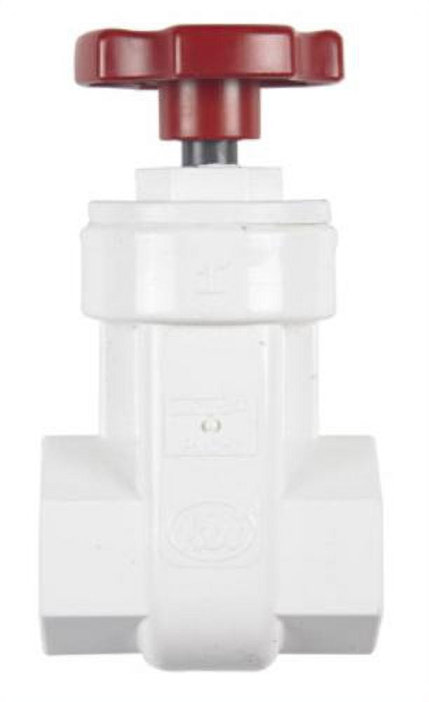 King Brothers GVP-1000-S Pvc Gate Valve 1" Female Sock - Walmart.com