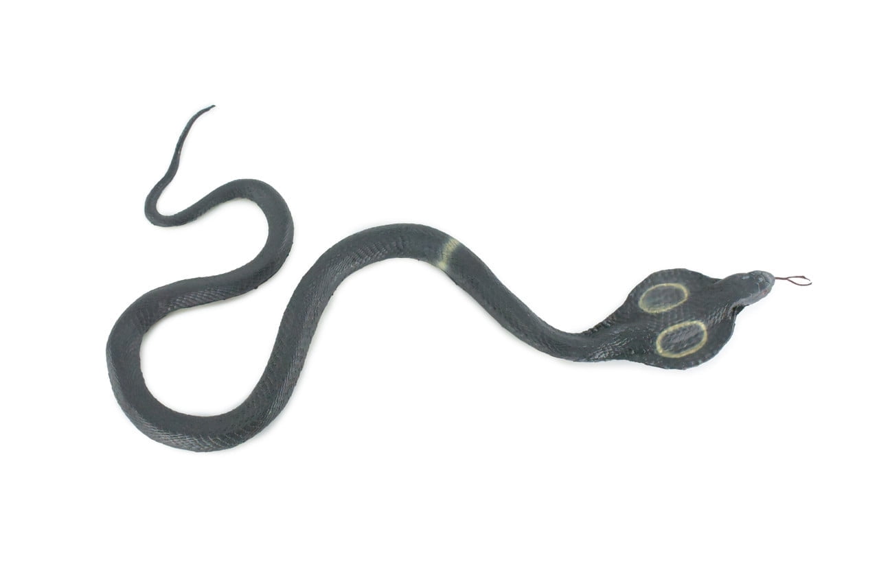 King Cobra, High Quality, Hand Painted, Hard Rubber Snake, Realistic ...