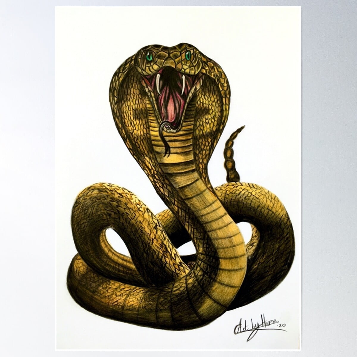 King Cobra Snake Poster Wall Art, UNFRAMED PAPER POSTER, Home Decor ...