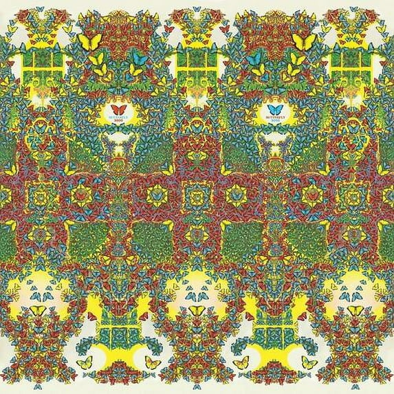 König Muskelmagen Und Der Eidechse Zauberer (King Gizzard and the ...