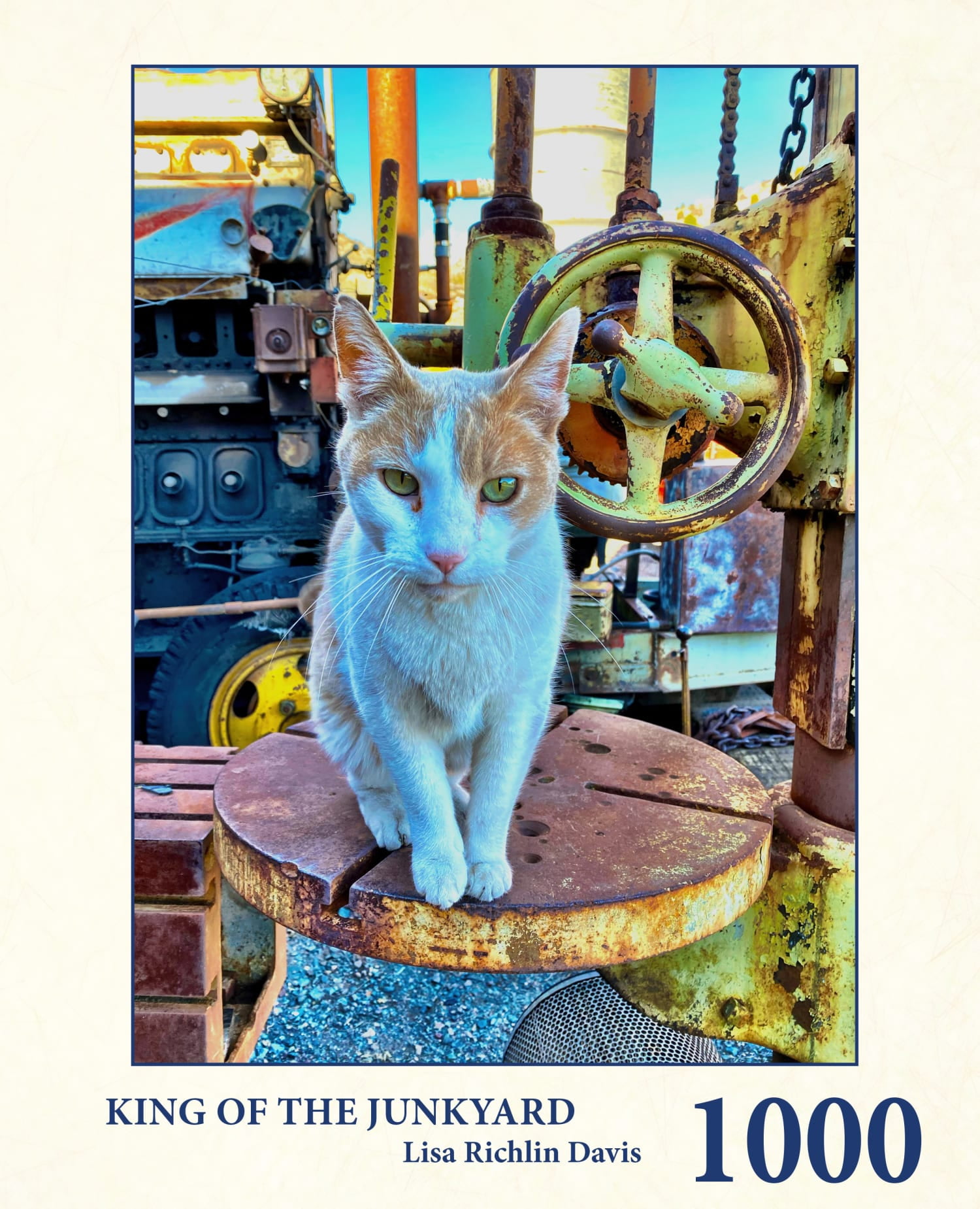King Of The Junkyard - 1000 Piece Jigsaw Puzzle by Tau - Walmart.com