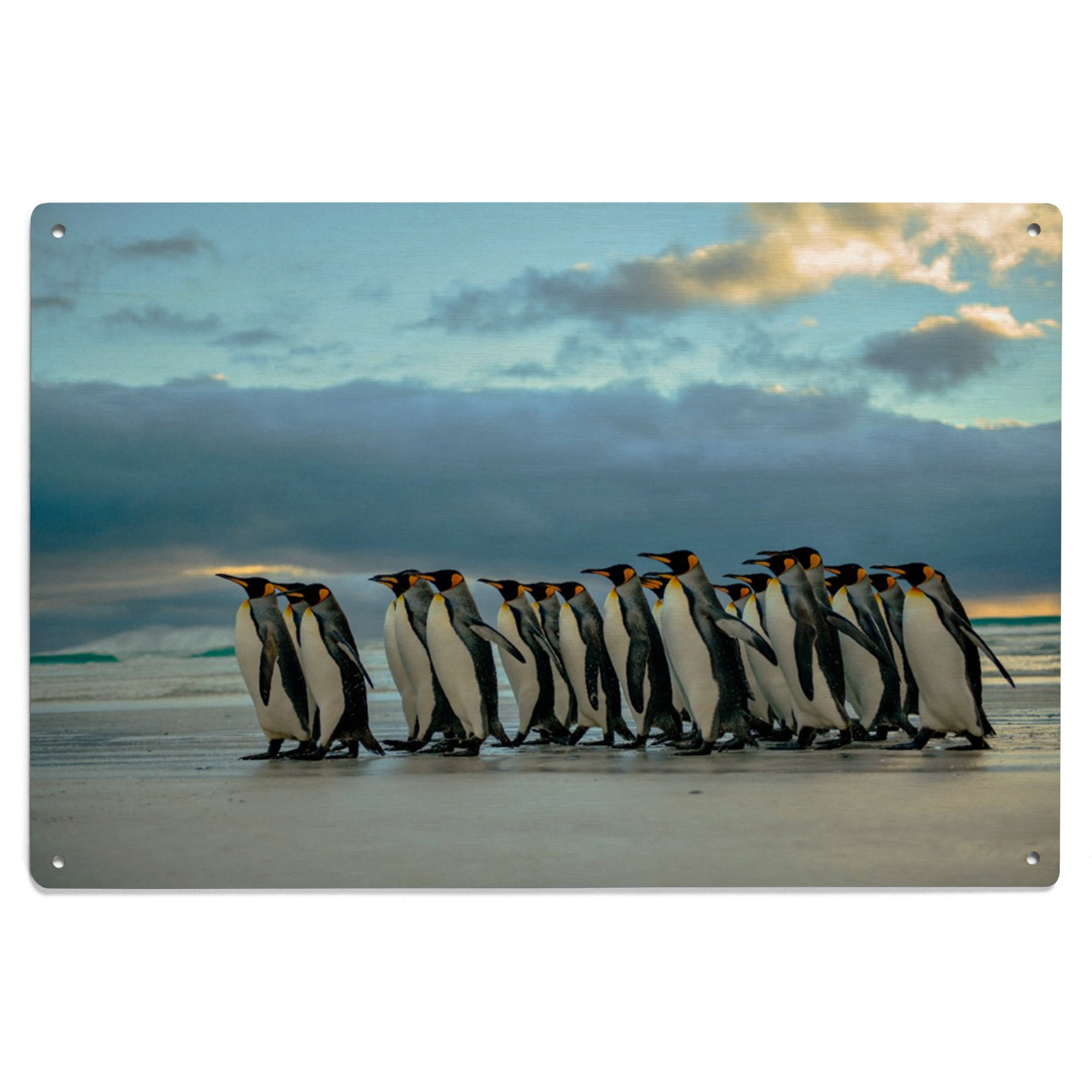 King Penguin Group on Beach Birch Wood Wall Sign (6x9 Rustic Home Decor ...