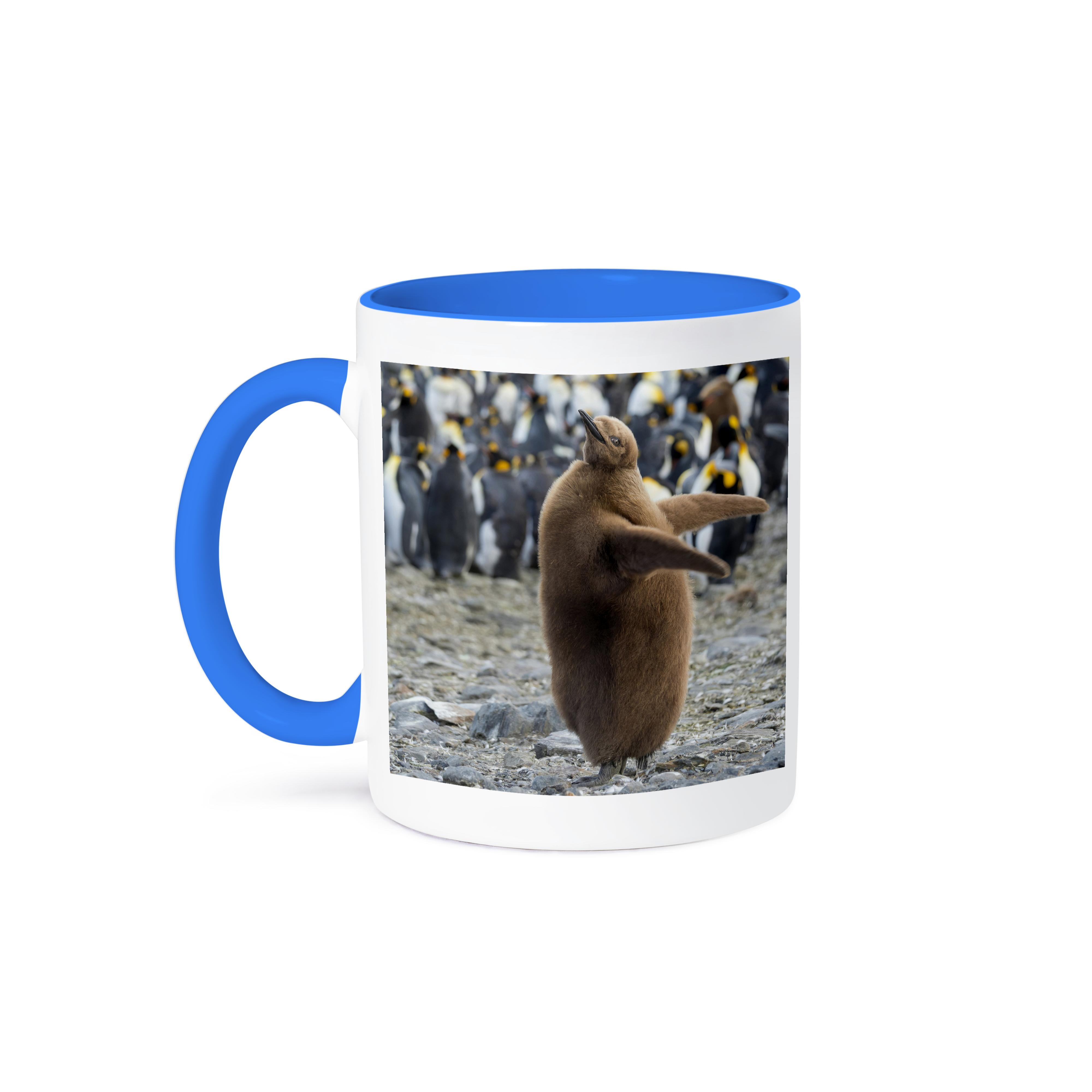 King Penguin Rookery In St. Andrews Bay. Chick In Brown Plumage., 11oz ...