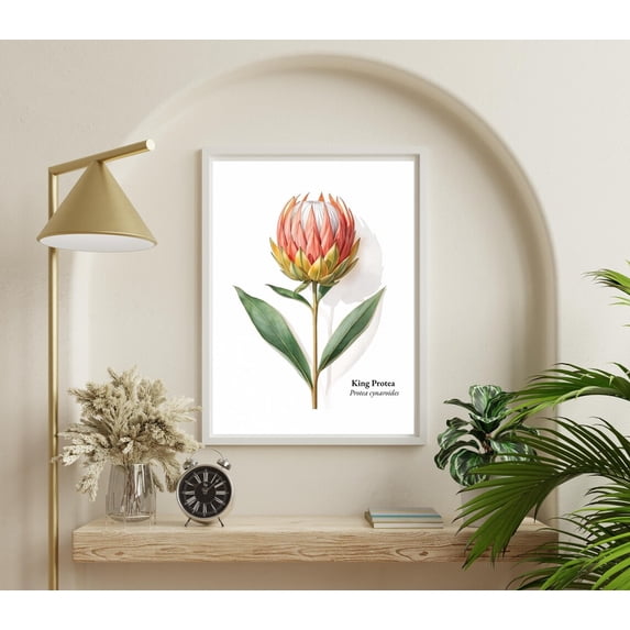King Protea Scientific Botanical Poster, Unframed Paper Poster 16x20in ...
