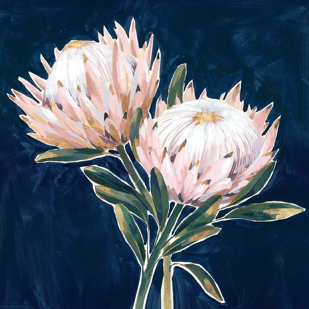 King Proteas Poster Print by Isabelle Z Isabelle Z - Walmart.com