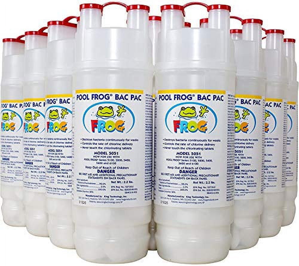 King Technology Pool Frog Bac Pac- 12 Pack Water Treatment Purifier ...