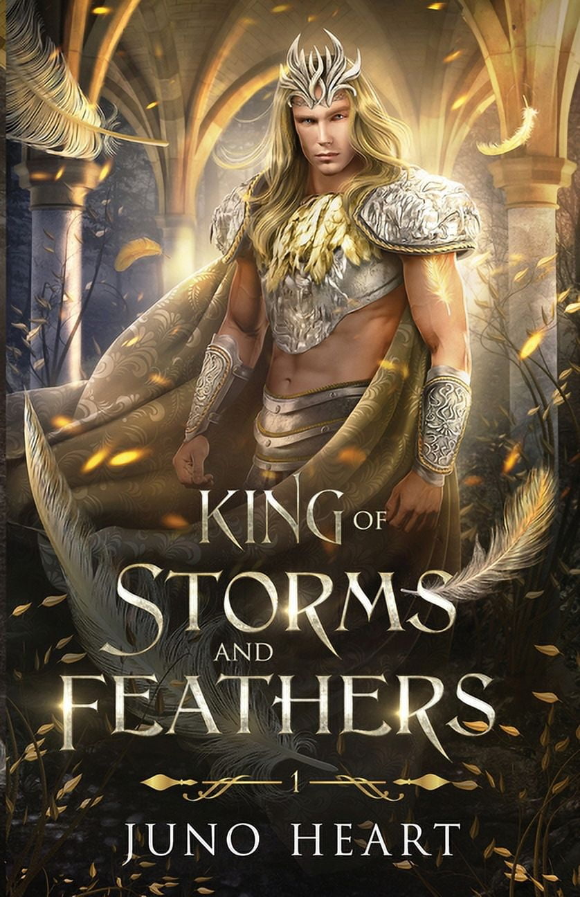 King of Storms and Feathers: Special Fae King Edition: A Dark Fae Fantasy Romance, (Paperback ...