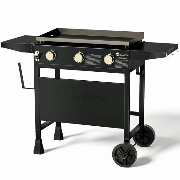 Small Gas Grills Propane