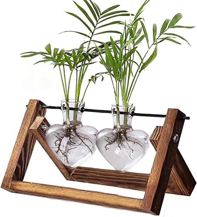 Kingbuy Glass Desktop Planter with Retro Wooden Stand and Plant ...