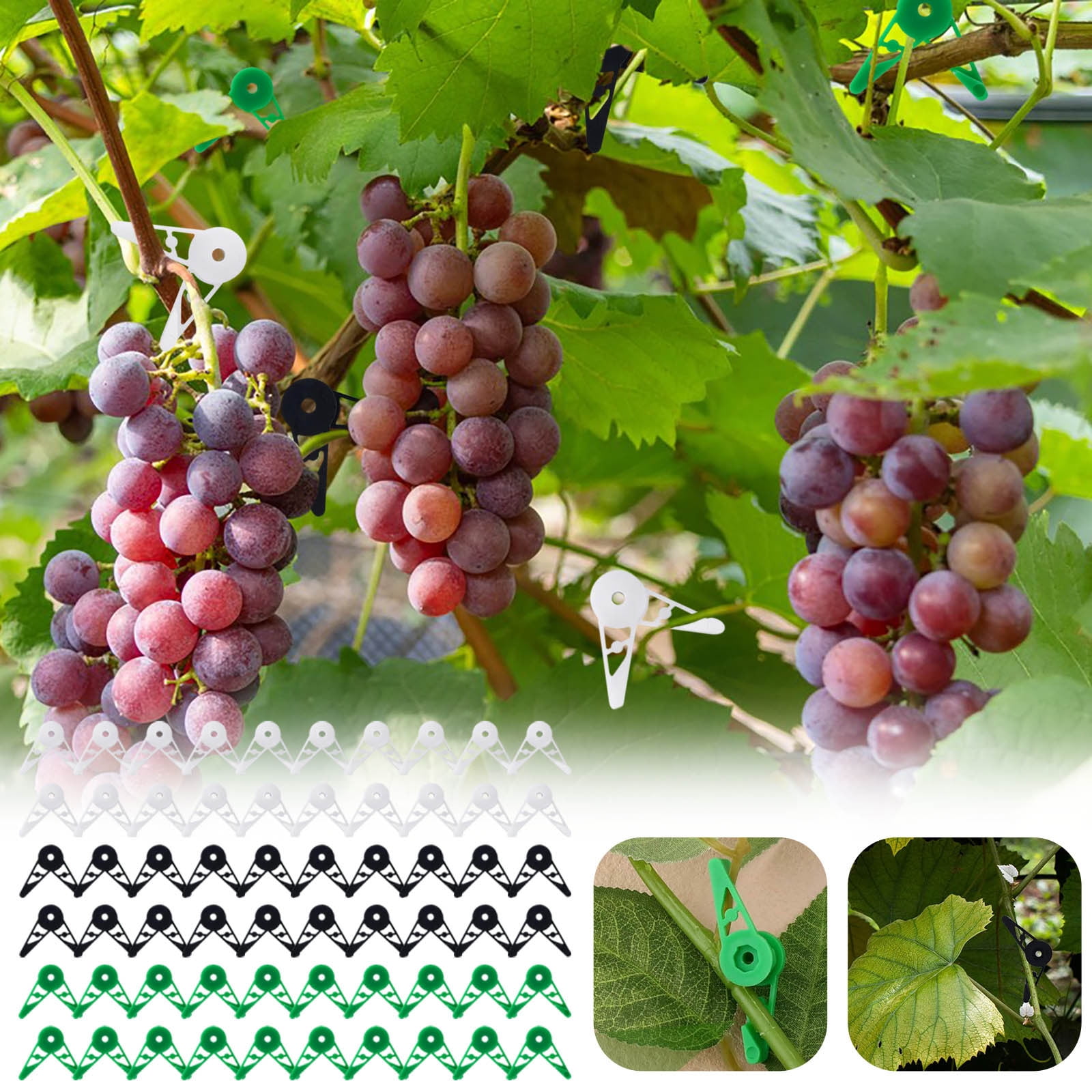 Kingfansion 60Pcs Plant Training Clips, Adjustable Garden Clips for ...