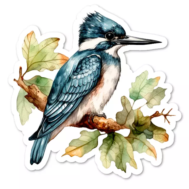 Kingfisher Sticker, Water Resistant, Scrapbooking, Laptop, Water ...