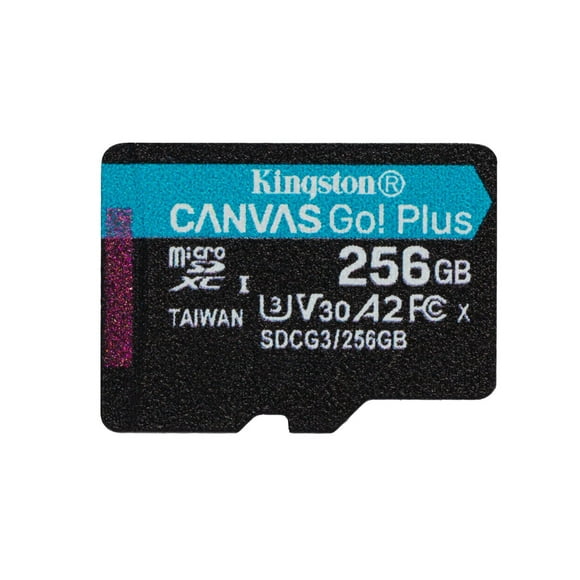 256 GB Memory Cards