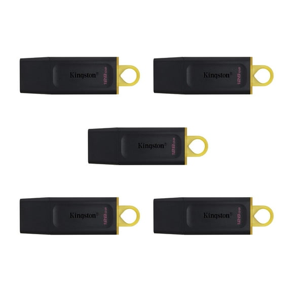 Kingston USB Flash Drives