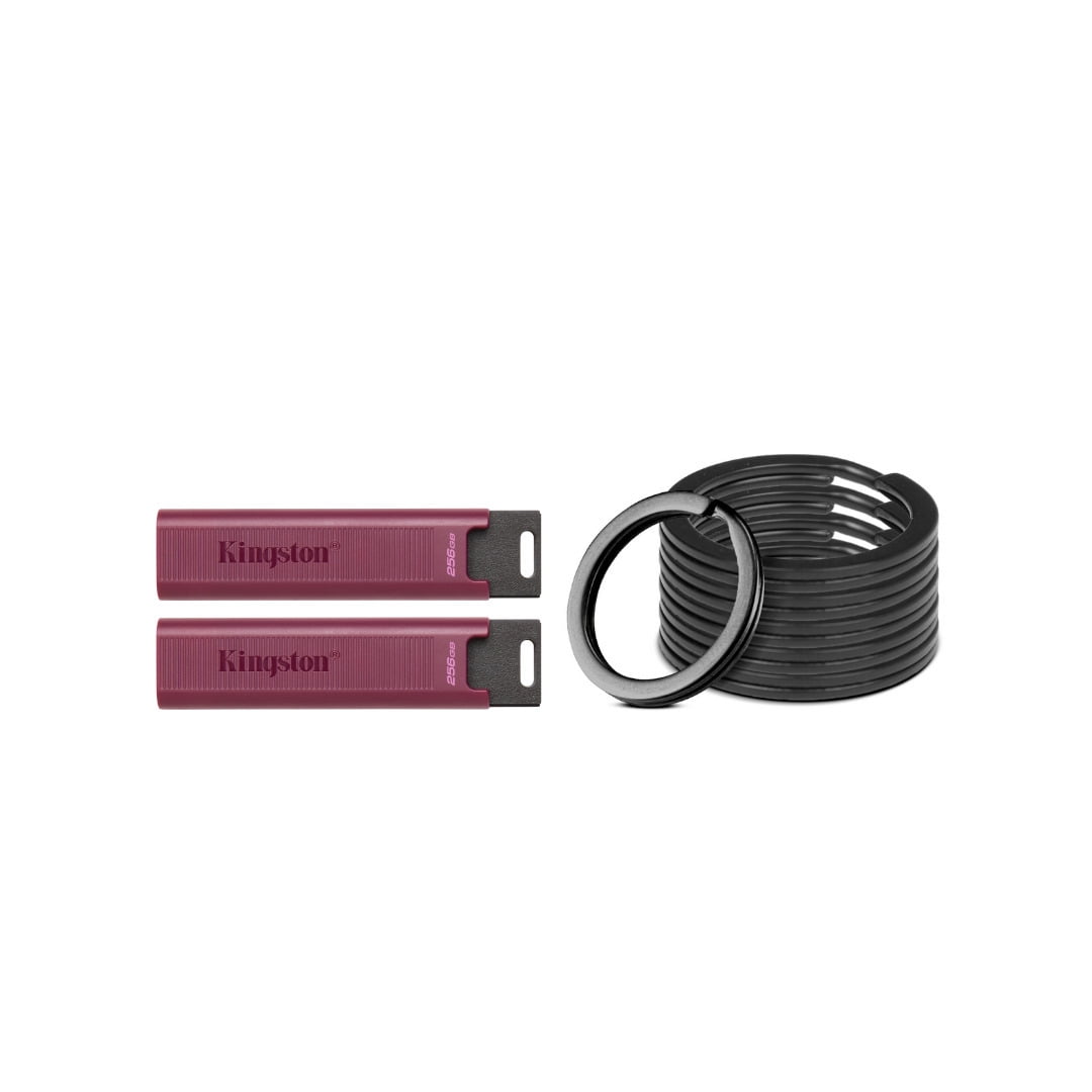 Kingston DataTraveler Max Type-A 256GB High-Performance USB Flash Drive ...