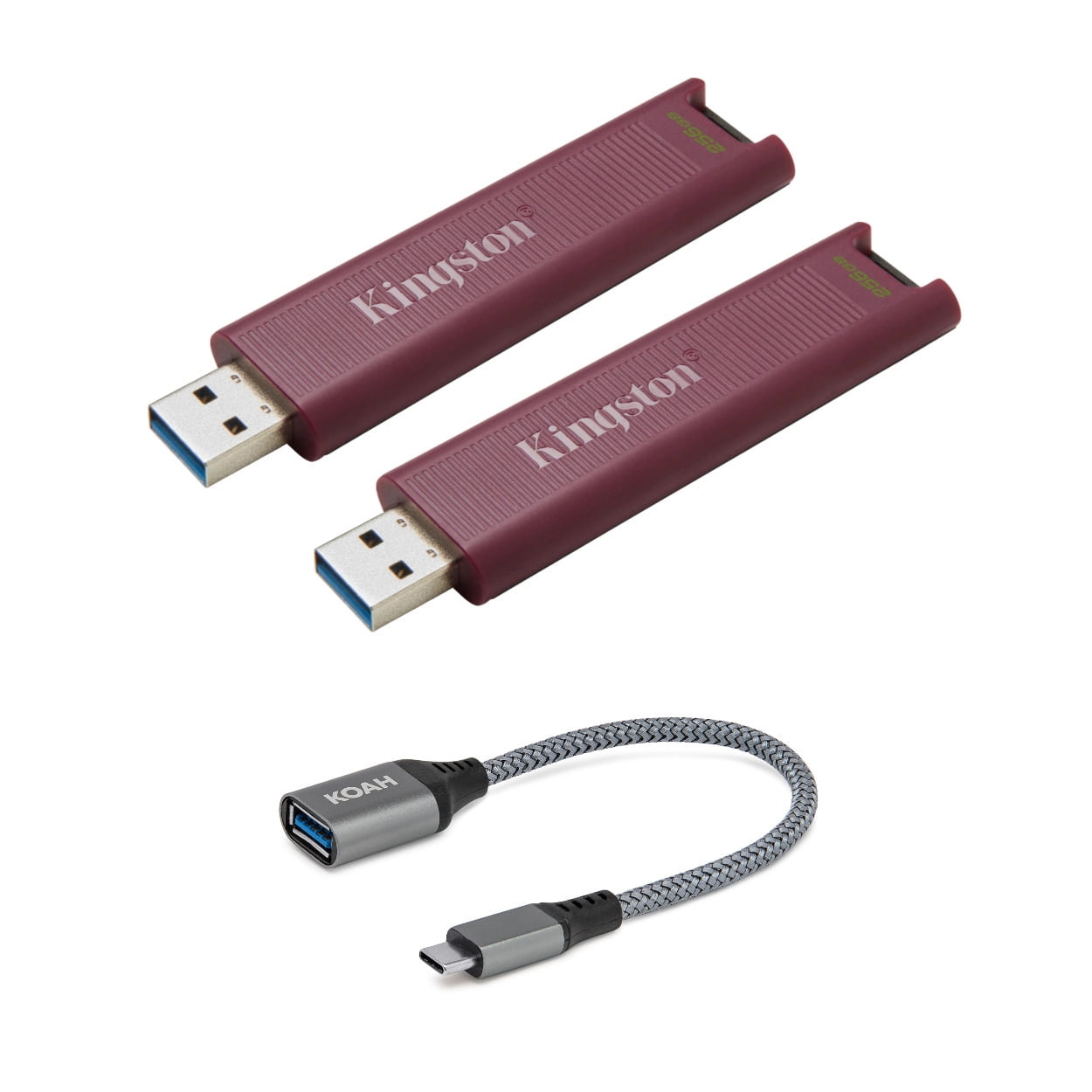 Kingston DataTraveler Type-A 256GB USB Flash Drive (2-pack) with USB-C ...