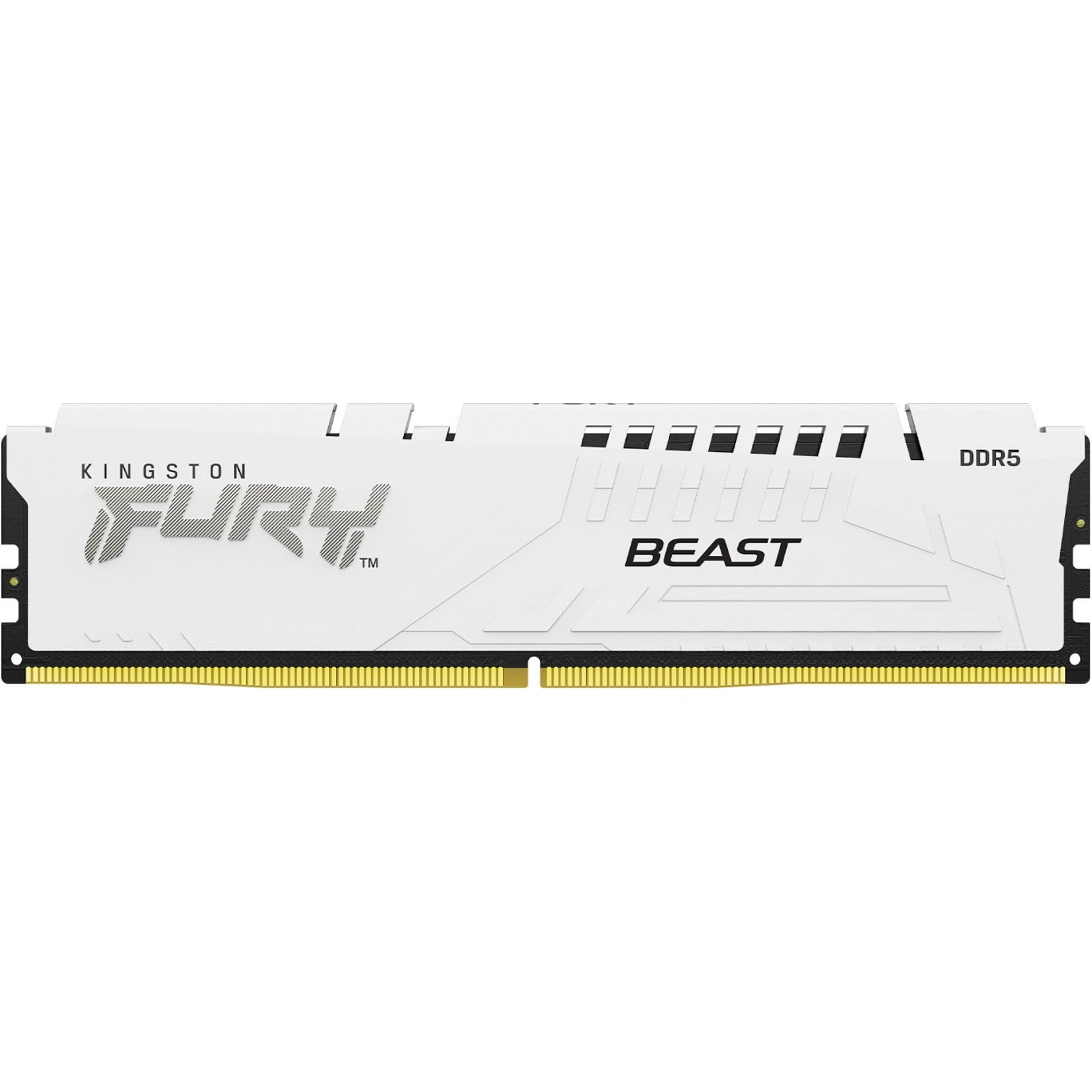 Kingston KF556C36BWEK264 FURY Beast - 64GB (2 x 32GB) - DDR5-5600/PC5 ...