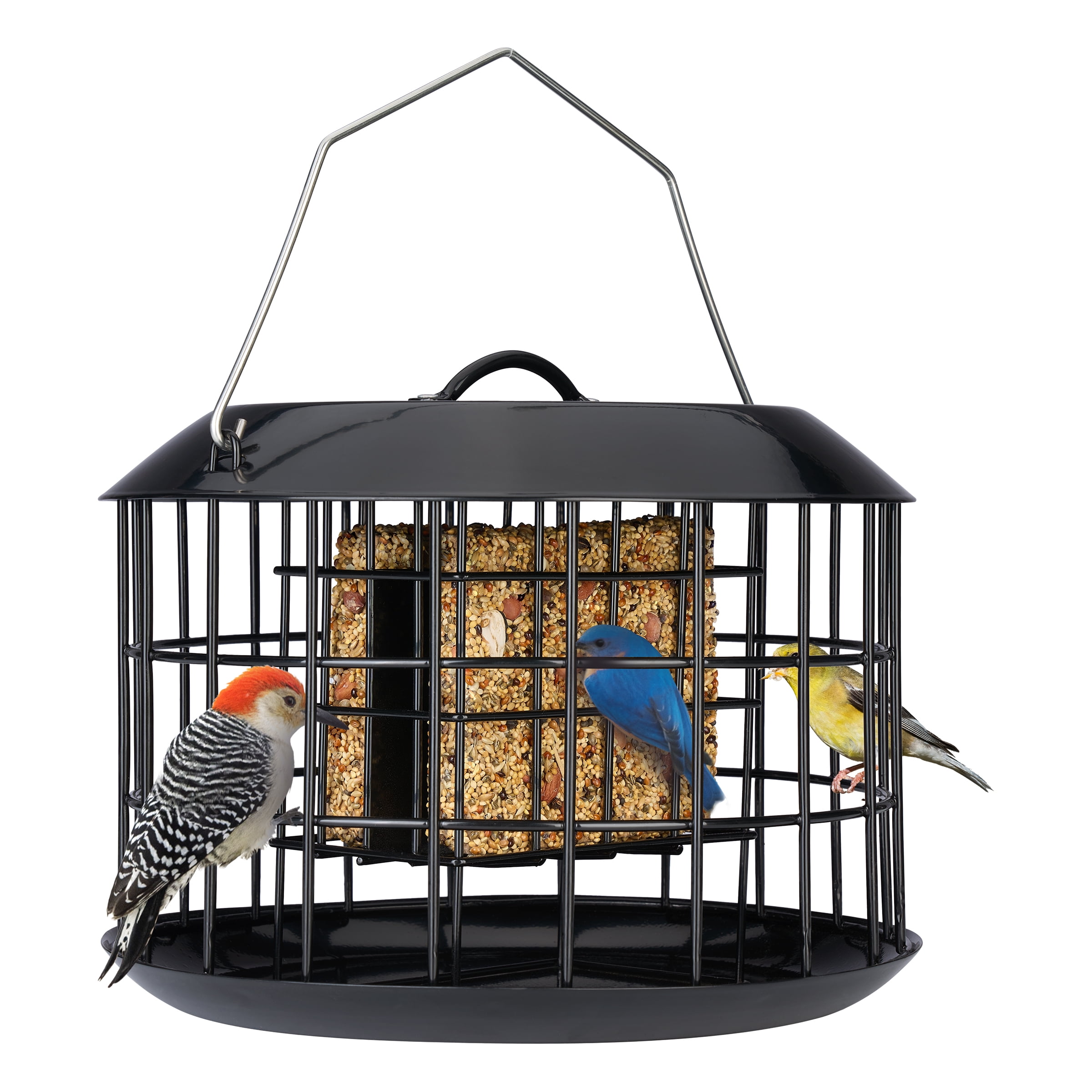 Kingsyard Squirrel Proof Double Suet Feeder, Metal Cage for Outdoors ...