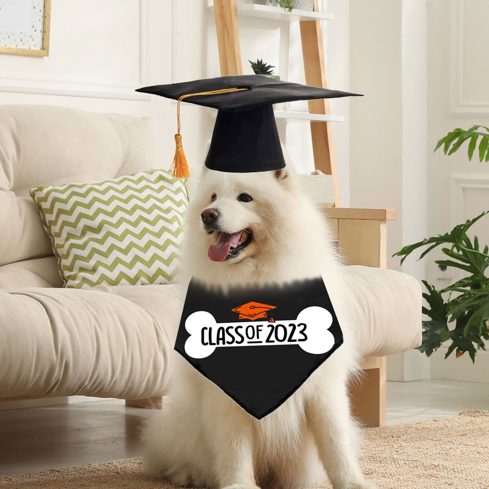 Kingtowag Pet Graduation Hat Cap Bib Decorations, Dog Cat Bachelor ...