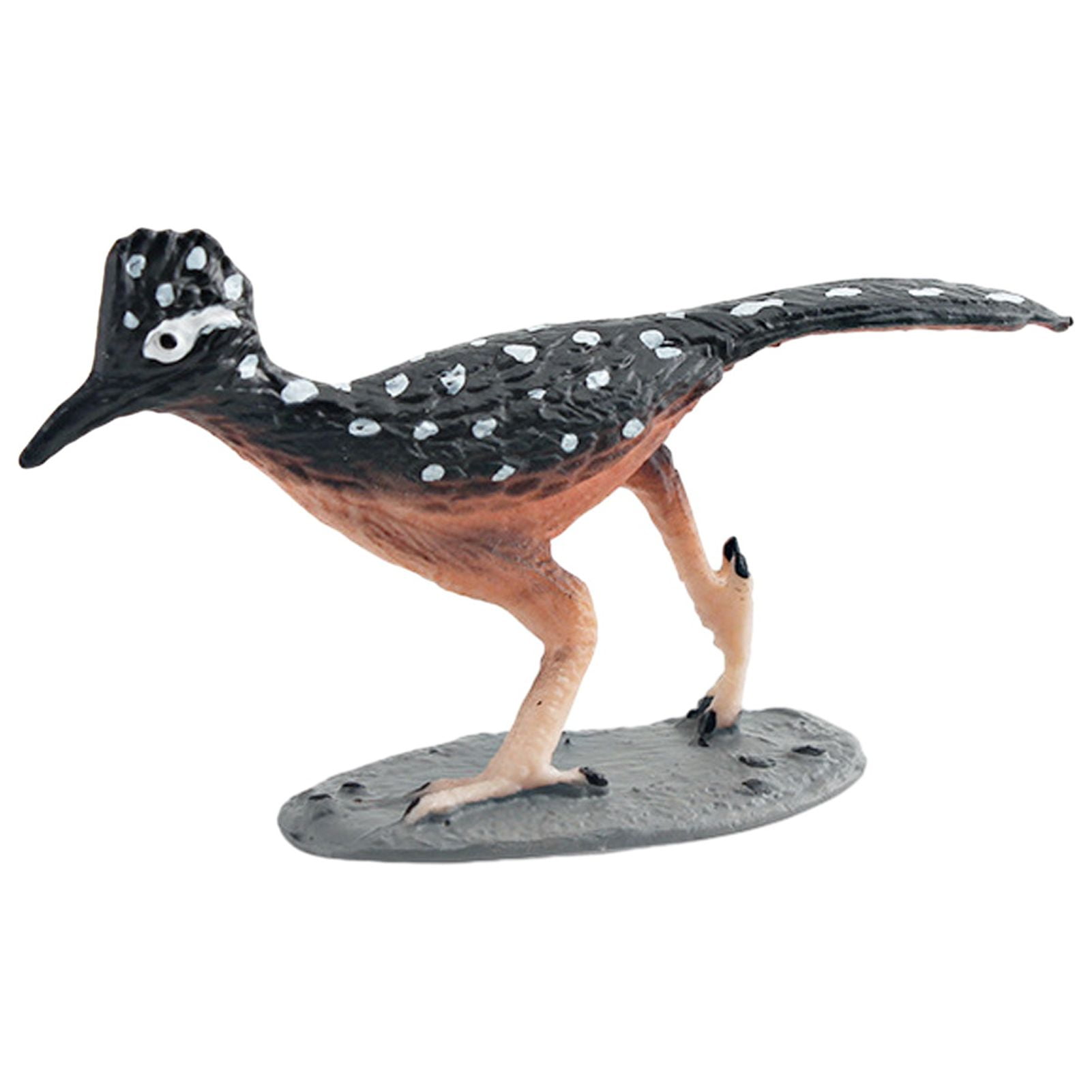 Kinzd Bird Model Toy Realistic Bird Figurine Roadrunner Mannikin ...