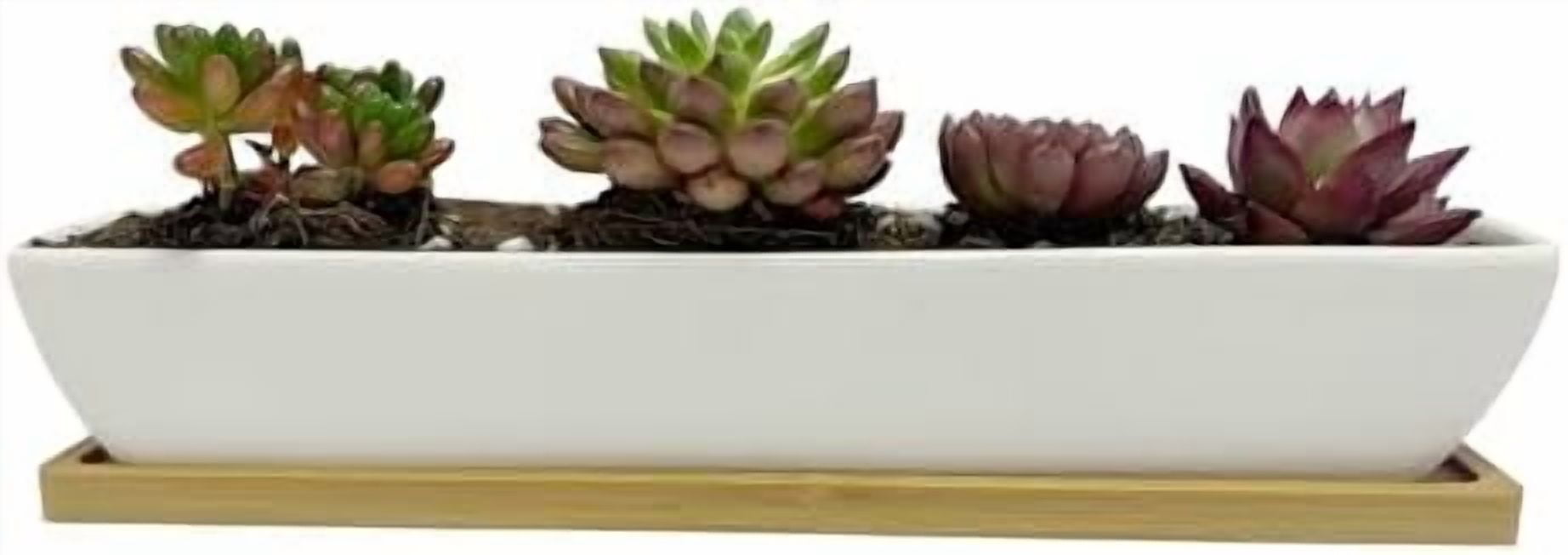 Kipokalor White Rectangular Long Succulent Planter Pot,11.1x2.36x1 ...