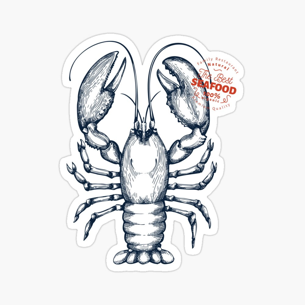 Kira .2012 Sticker - Lobster - Fisherman Aesthetic Ocean Sea Vibe Trend ...