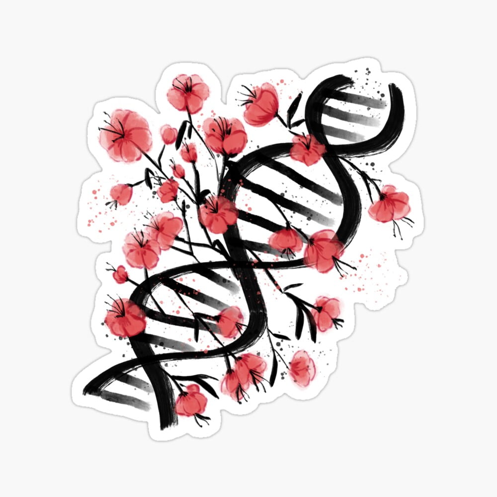 Kira .2298 Sticker - Sakura Sumie Dna - Hot Trending Vinyl Sticker ...