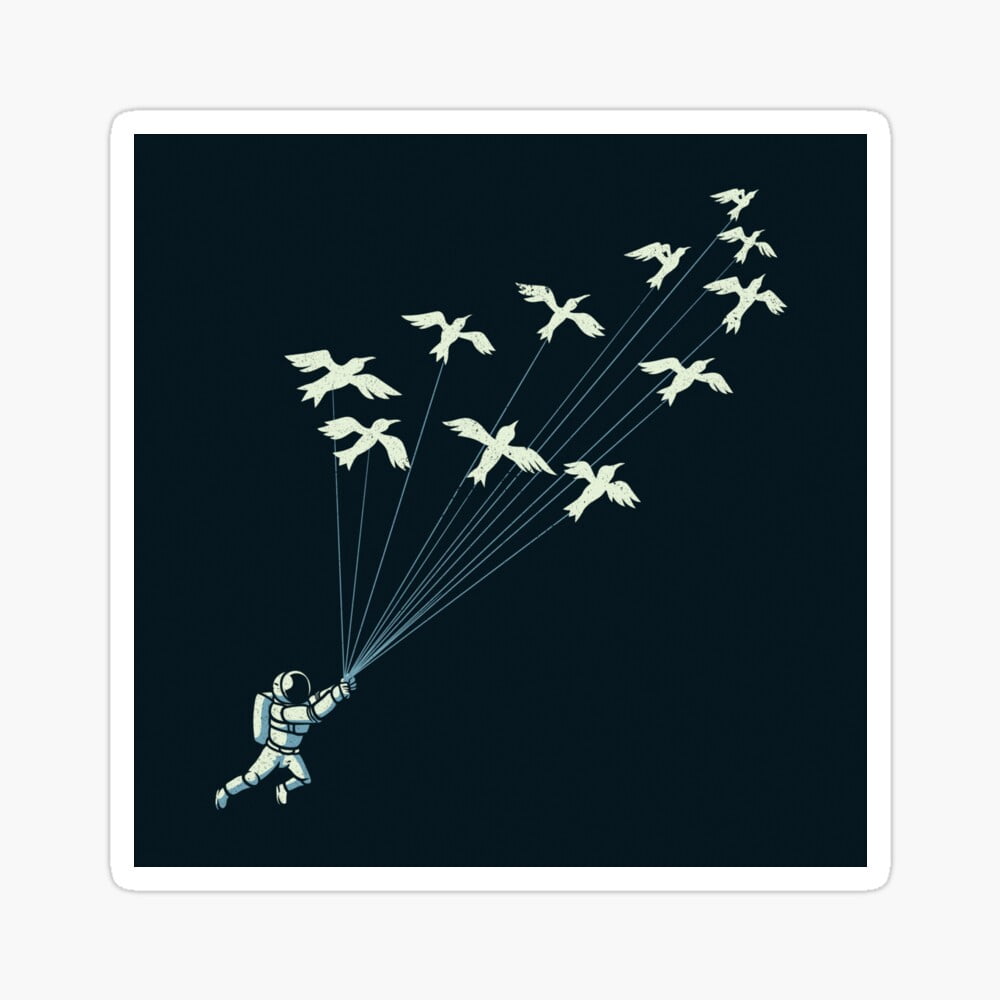 Kira .2502 Sticker - Astronaut Prince Flying With Birds Black And White ...