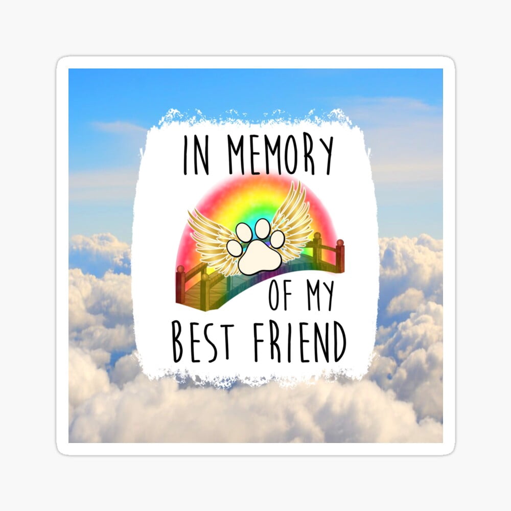 Kira .6131 Sticker - Pet Loss In Memory Rainbow Bridge Dog Cat Memorial ...