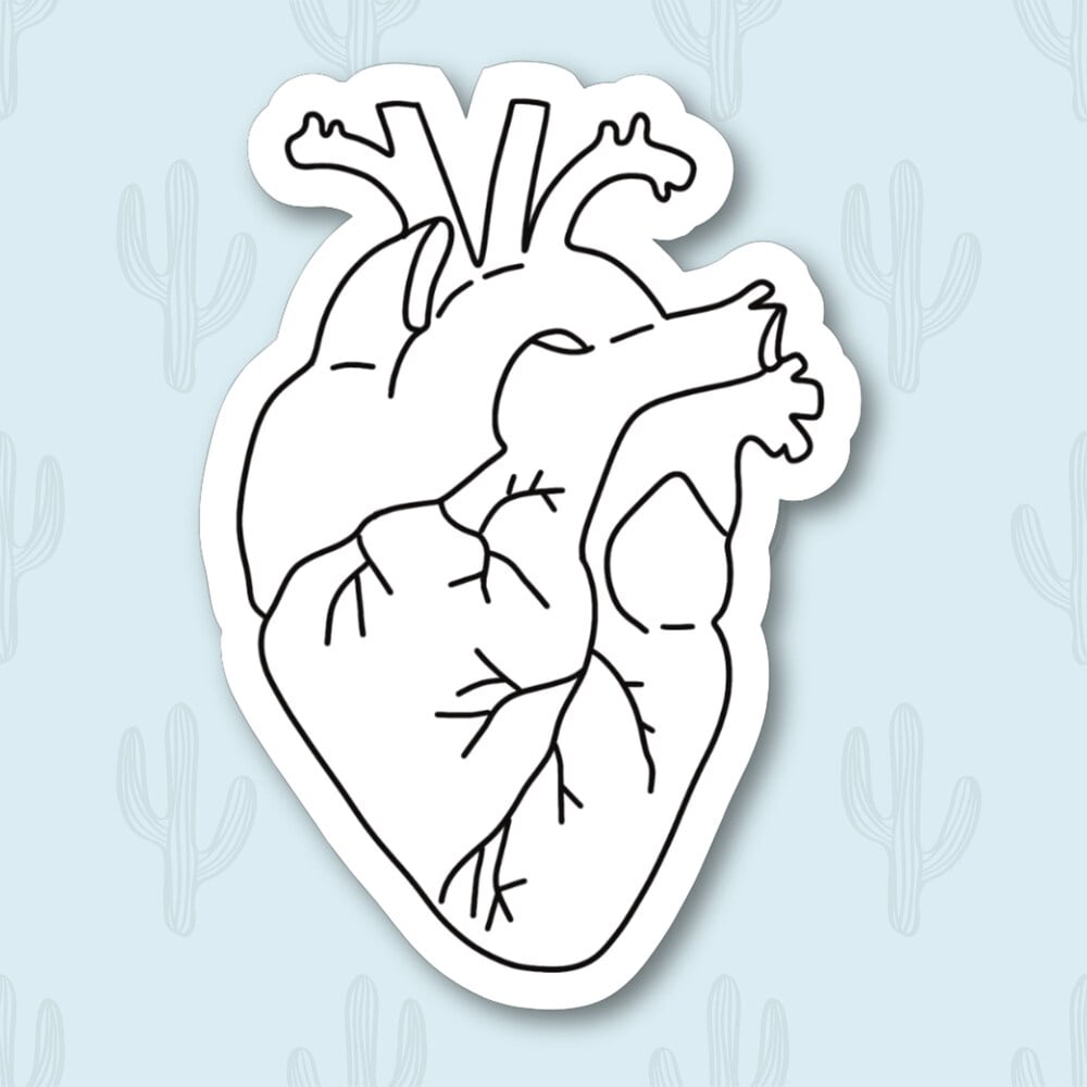 Kira .834 Sticker - Anatomical Heart, Heart Anatomy, Nursing For Laptop ...