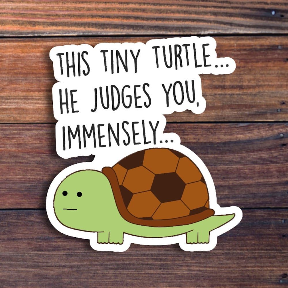 Kira .88 Sticker - Turtle, Animal, Cute Turtle, Turtle Gifts, Animal ...