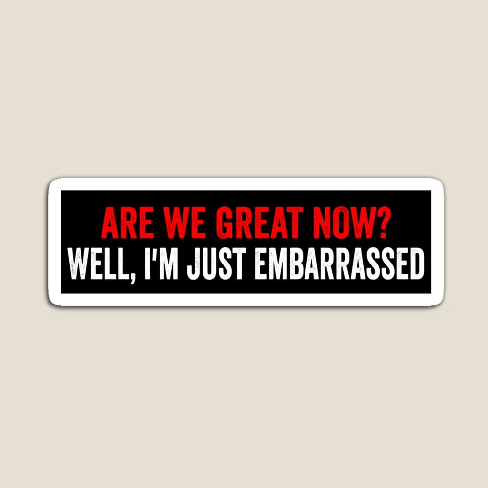 Kira - Are We Great Now? Well, I'M Just Embarrassed Funny Sticker ...