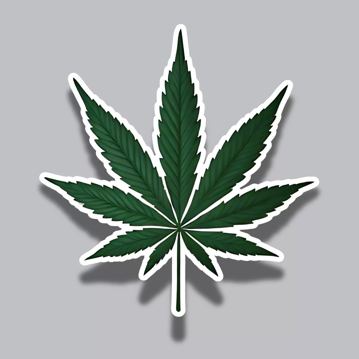 Kira Cannabis Leaf Weed Simple Green Hemp Relaxation Vinyl Sticker Waterproof Sticker for Water ...