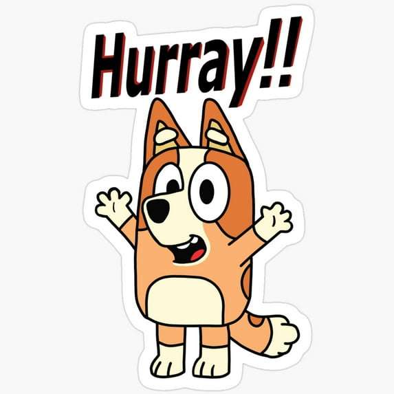 Kira Cheerful Bingo Sticker Waterproof Sticker for Water Bottles ...