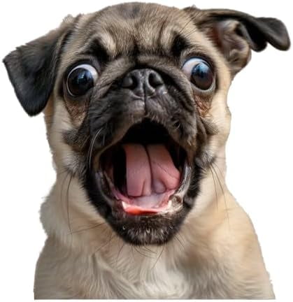 Kira Funny 3D Pug Peeking Decal Sticker -... Waterproof Sticker for ...